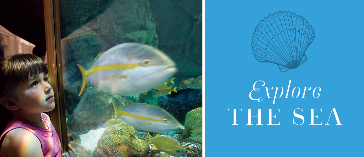 Explore_Sea - Well Traveled Kids