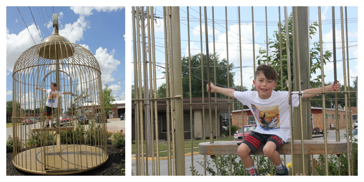 World's Largest Bird Cage - Well Traveled Kids