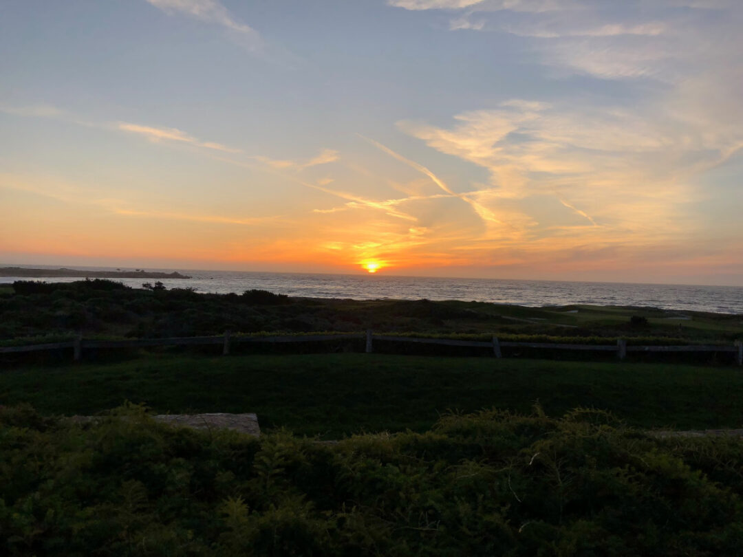 Ultimate List of Best Things to Do in Pebble Beach with Kids - Well ...